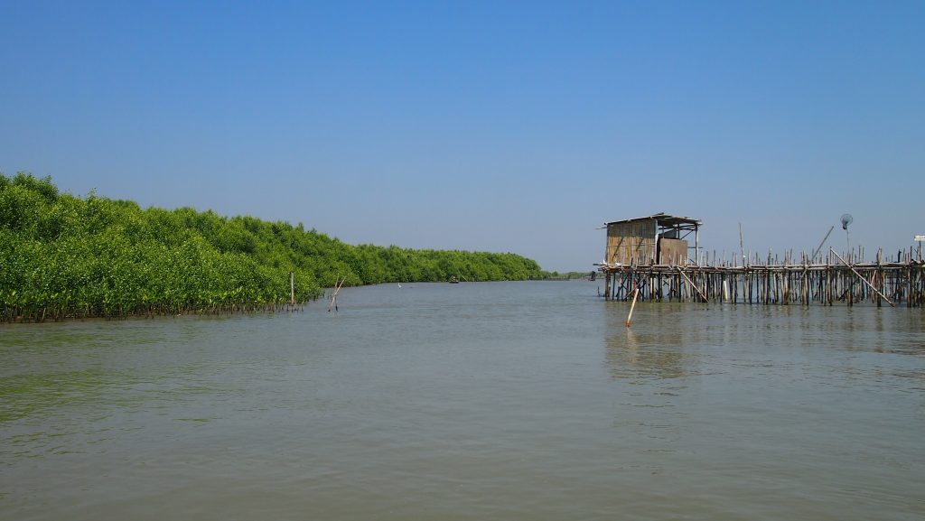 Penanaman 1000 Mangrove Mahasiswa Teknik Mesin Undip | Undip ...